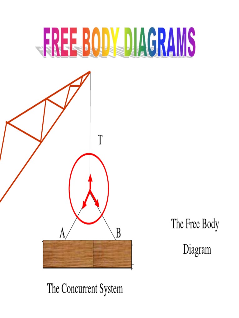 Ee Body Digram PDF | PDF