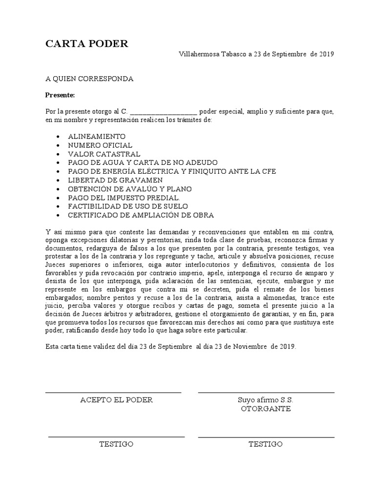 Carta Poder PARA TRAMITES DE INMUEBLES | PDF