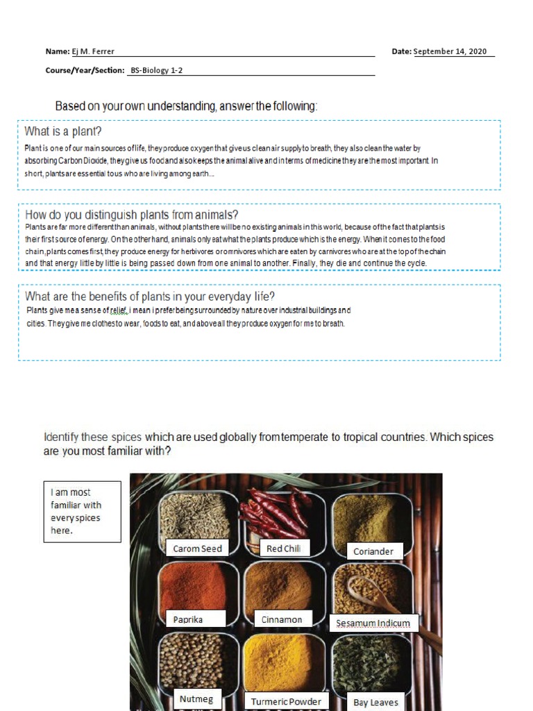 Botany Activities in Module 1 and 2 | PDF