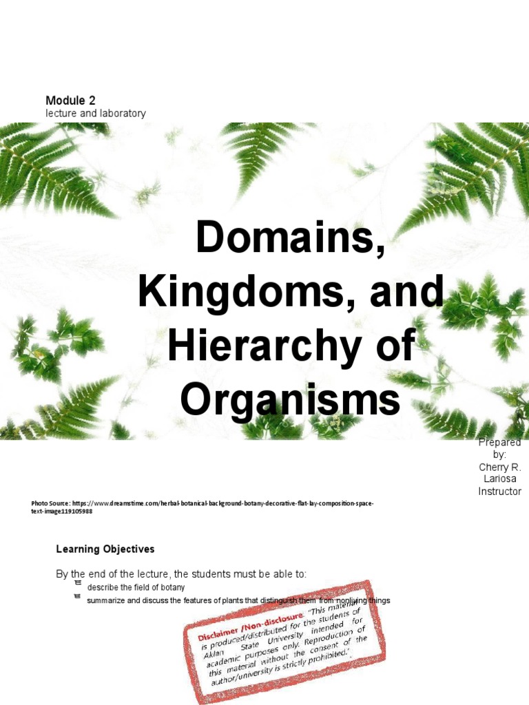 2.-Domains-Kingdoms-and-Hierarchy 2 | PDF | Cell (Biology) | Organisms