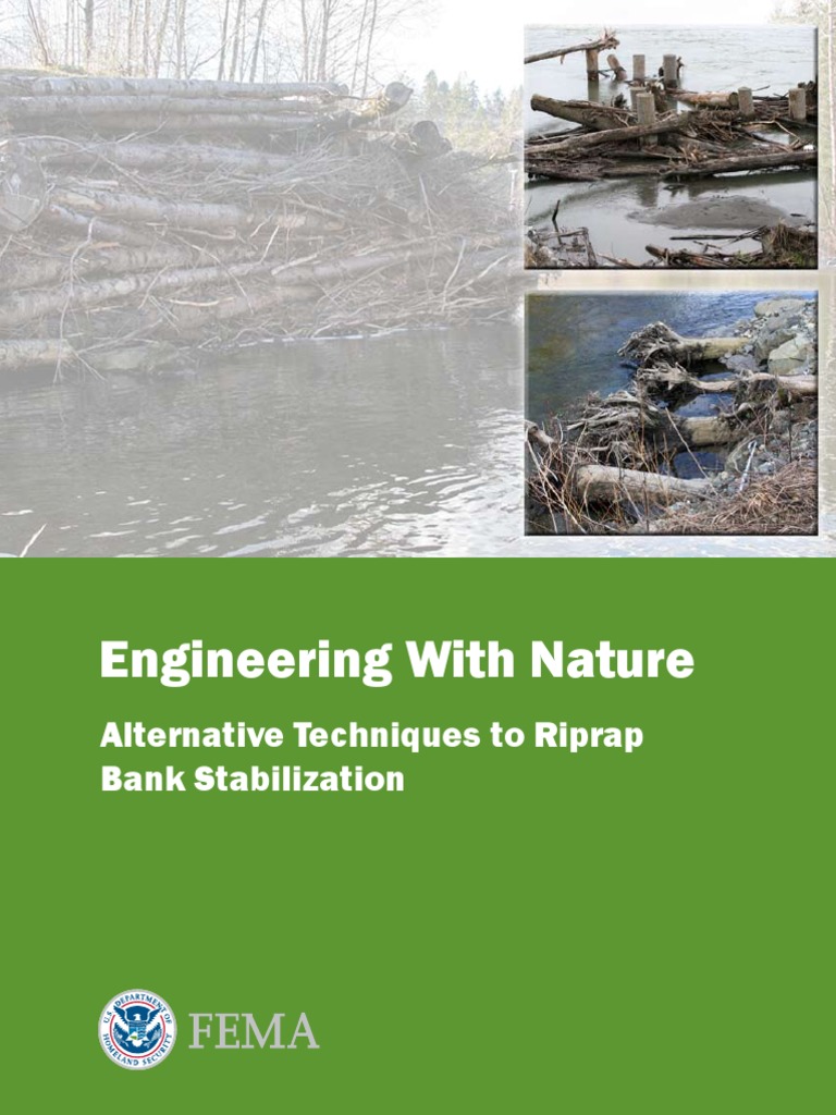 Eco-Friendly Bank Stabilization Methods | PDF | Riparian Zone | River
