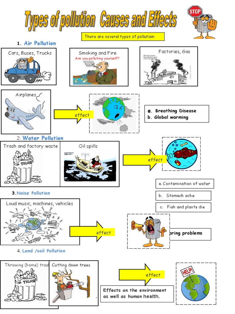 Types of Pollution Classroom Poster | PDF