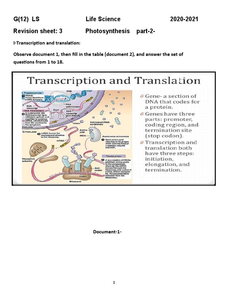 G (12) Ls Life Science 2020-2021 Revision Sheet: 3 Photosynthesis Part ...