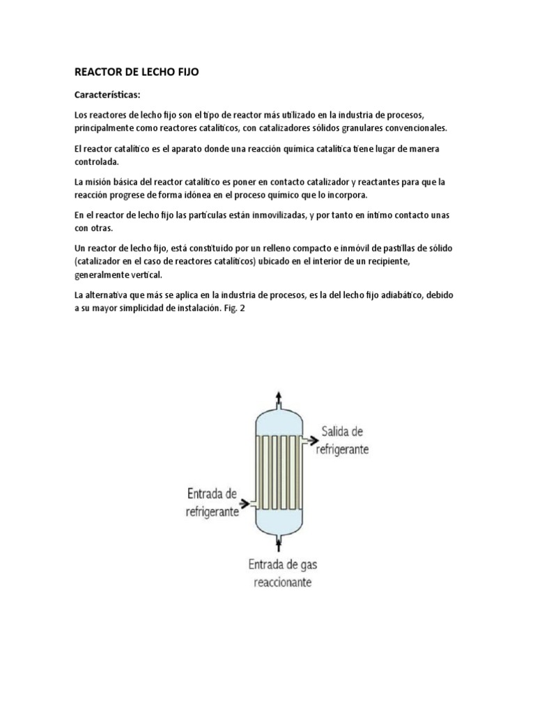 Reactor de Lecho Fijo | PDF