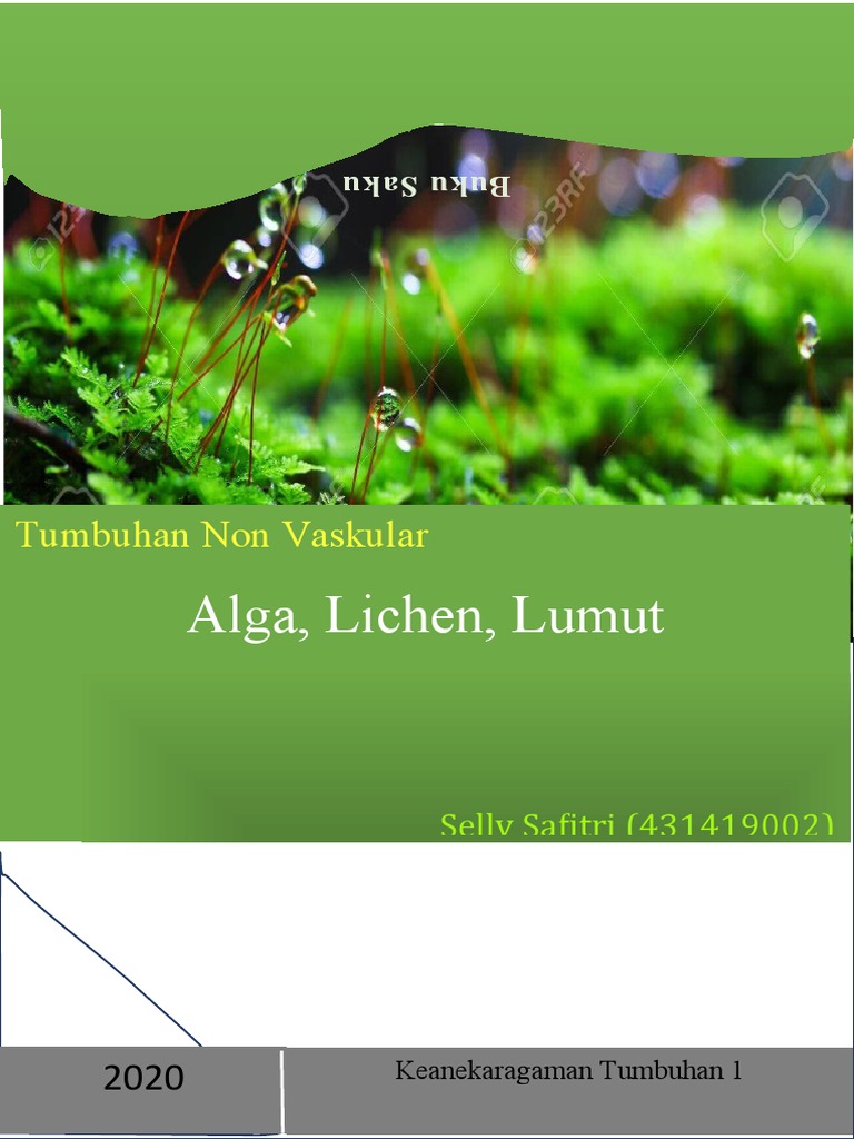 Morfologi dan Klasifikasi Alga | PDF