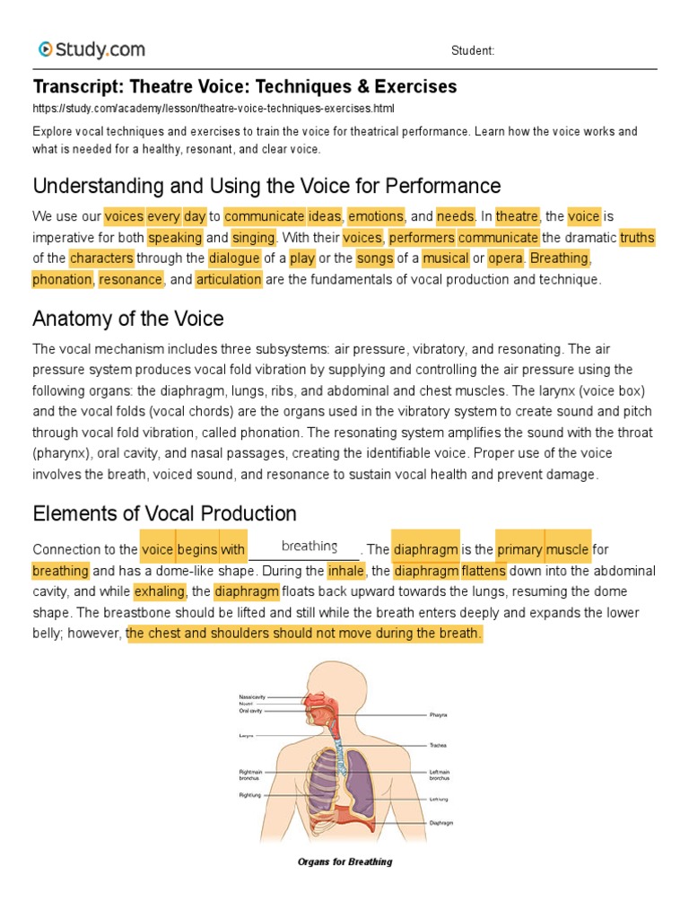 Theatre Voice Techniques Exercises | PDF | Vocal Pedagogy | Singing