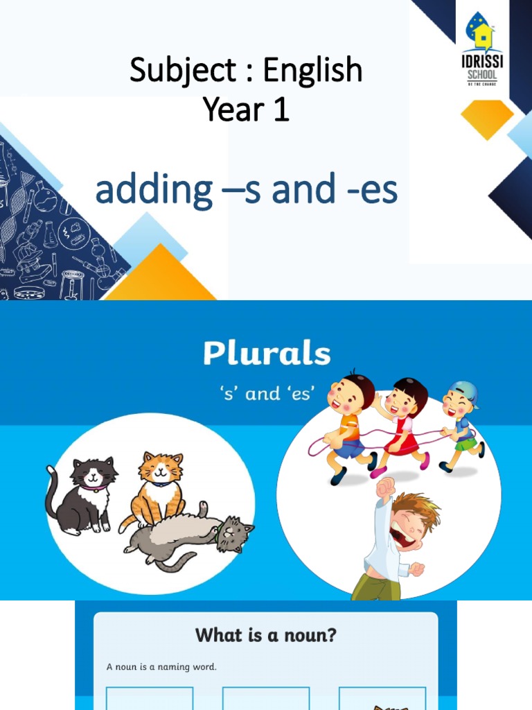 Grammar Plural and Singular Slides | PDF