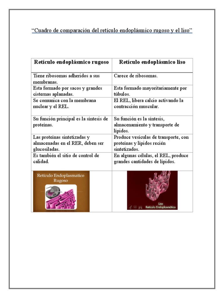 Mapa de Comparacion Del Rer y Rel | PDF