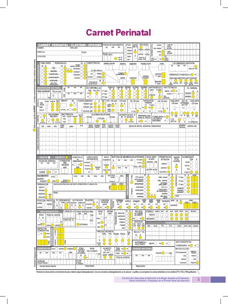 Carnet Perinatal PDF | PDF
