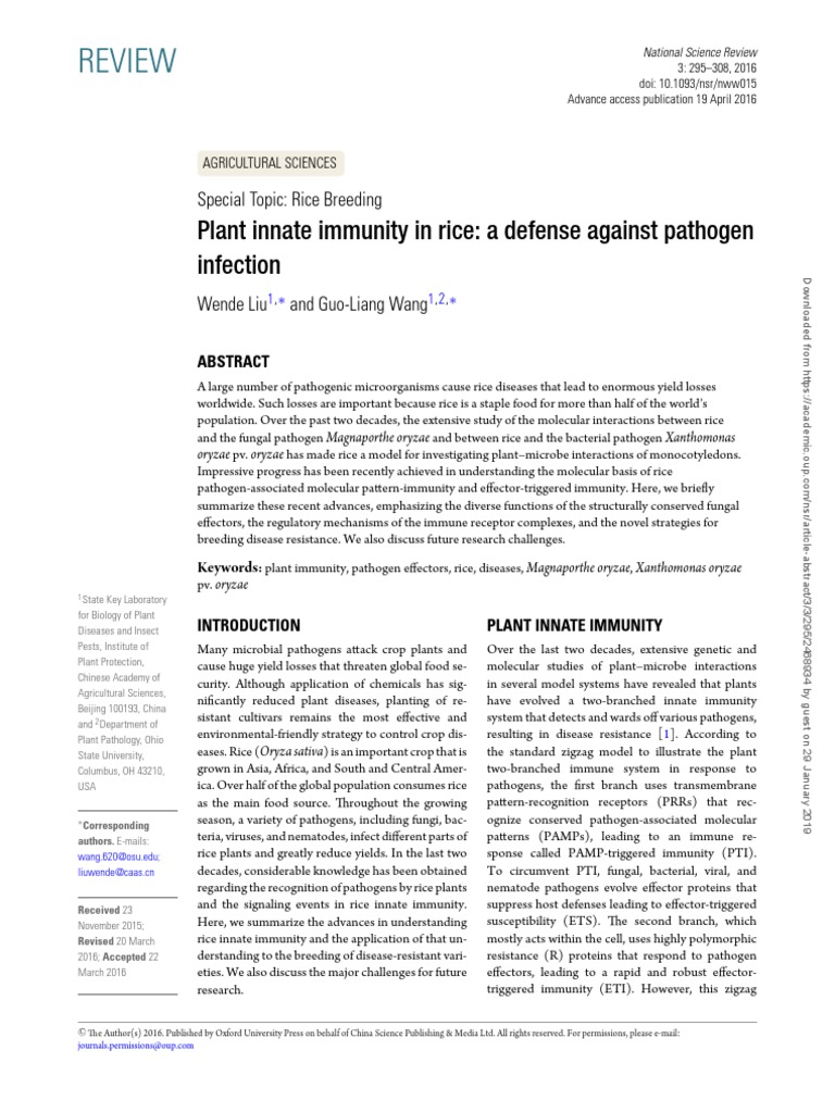 Review: Plant Innate Immunity in Rice: A Defense Against Pathogen ...