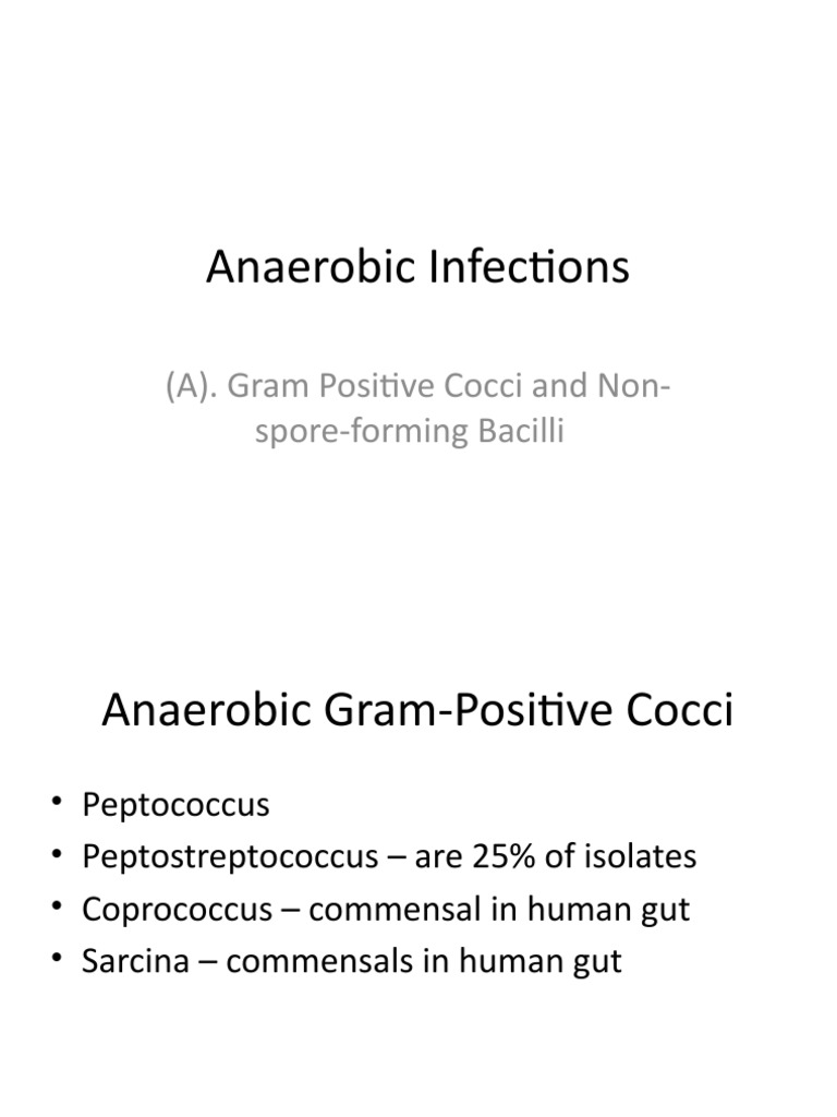 Anaerobic Infections: (A) - Gram Positive Cocci and Non-Spore-Forming ...
