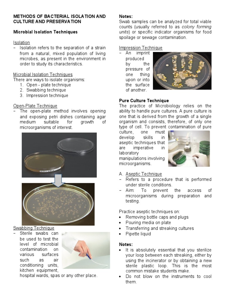 Bacterial Isolation and Culture Methods | PDF | Growth Medium ...