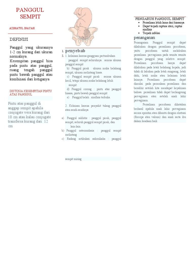 Panggul Sempit | PDF