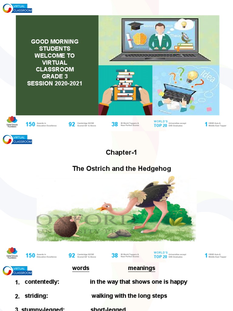 The Ostrich and the Hedgehog Q&A | PDF