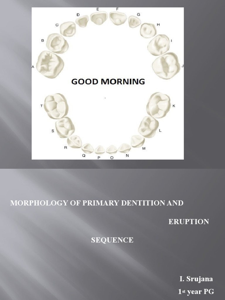 Morphology of Primary Dentition PPT 1 | PDF | Tooth | Dental Anatomy