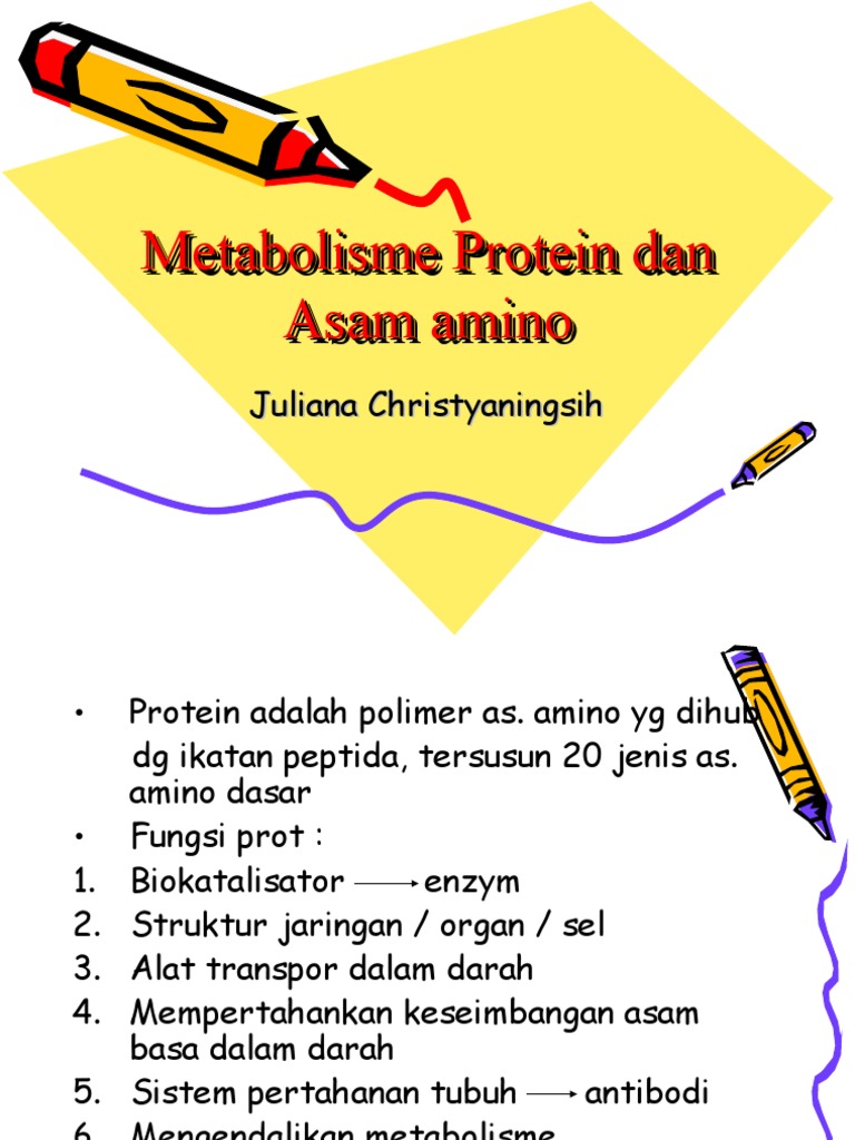 Metabolisme Protein | PDF