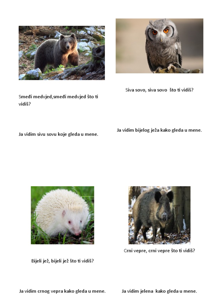 Šumske Životinje Slikovnica | PDF