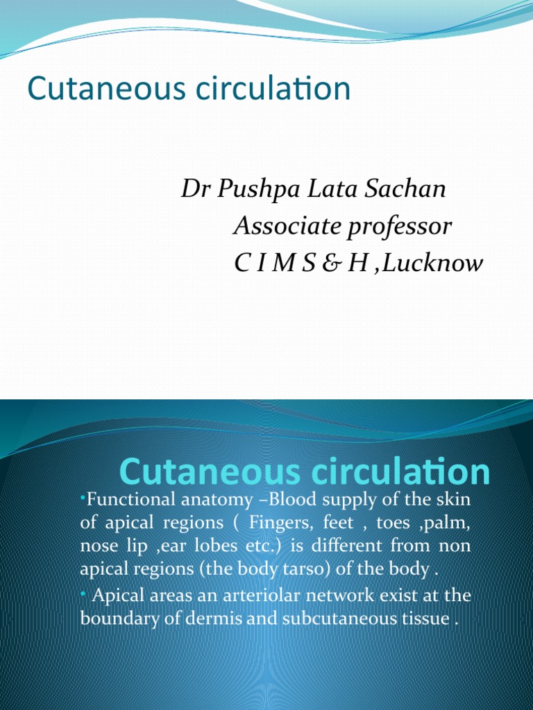 Cutaneous Circulation and Regulation | PDF | Vasodilation | Skin
