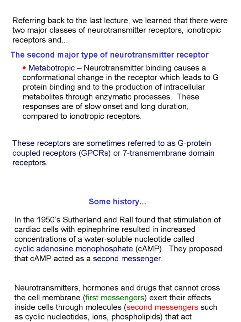 Metabotropic: The Second Major Type of Neurotransmitter Receptor | PDF ...