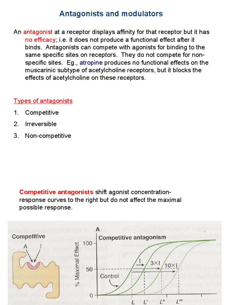 Types of Receptor Antagonists Explained | PDF | Receptor Antagonist ...