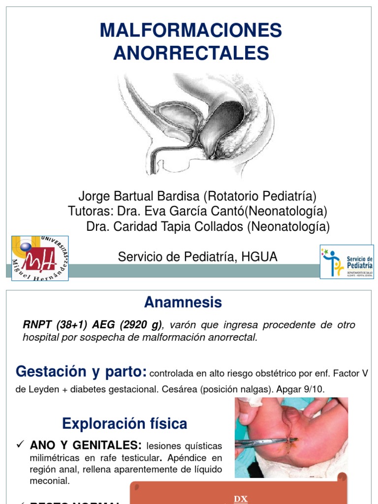 Curso 2018 19 - MALFORMACIONES ANORECTALES RECIÉN NACIDO - Jorge Bartual Bardisa | PDF ...