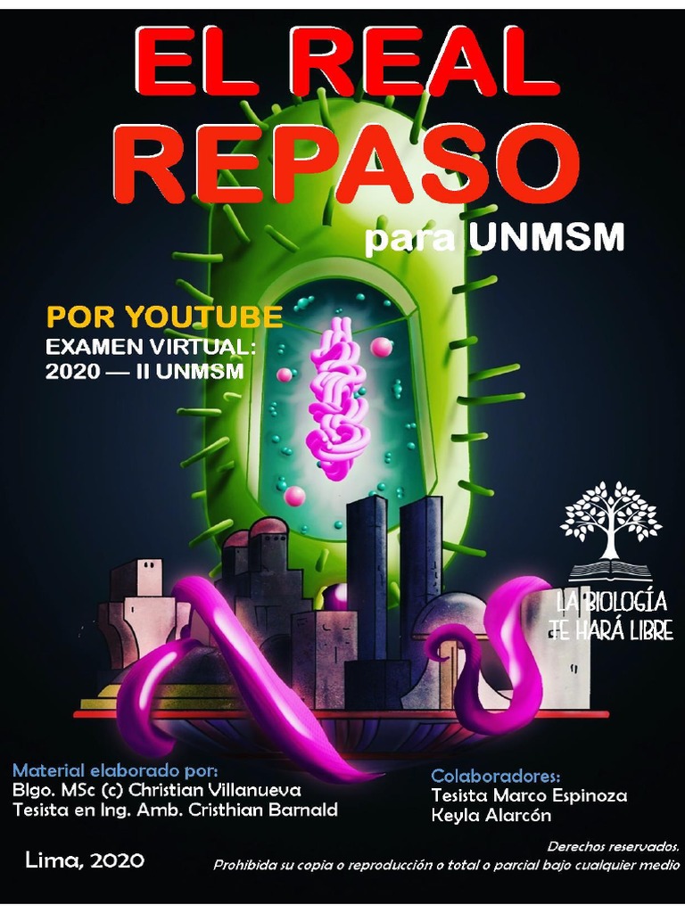 Repaso Final Youtube | PDF