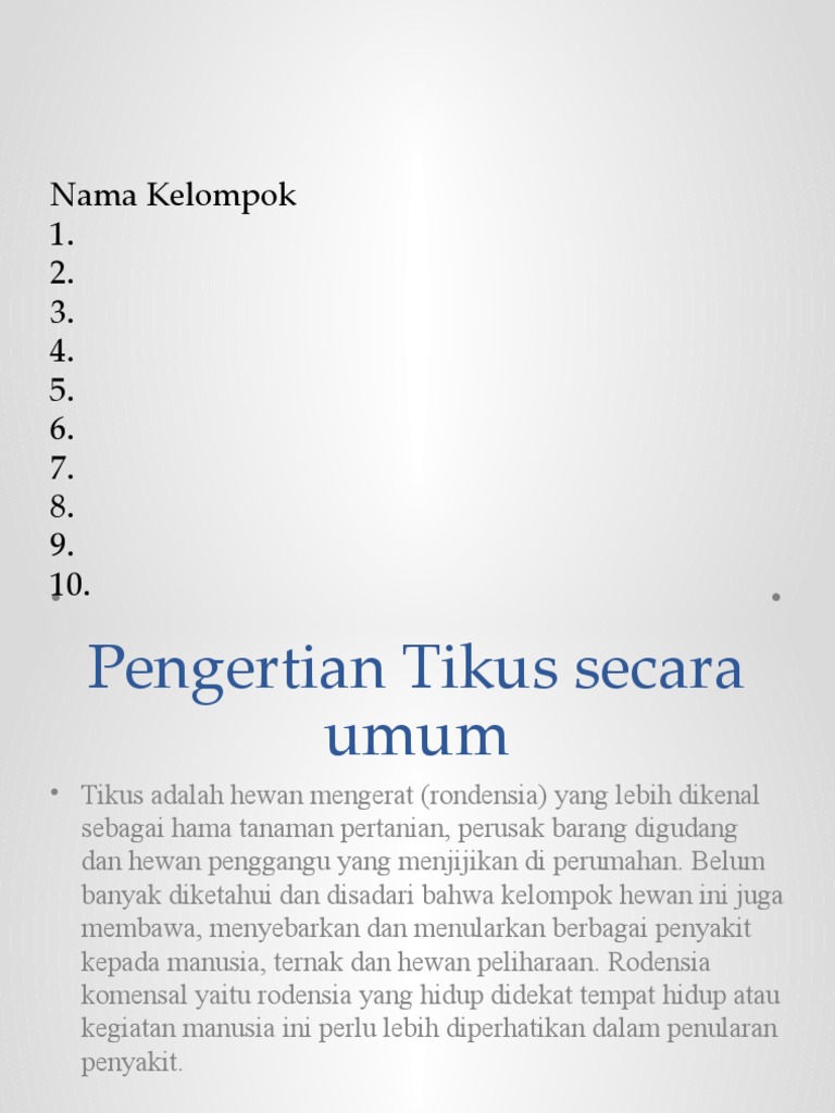 Tikus Got | PDF