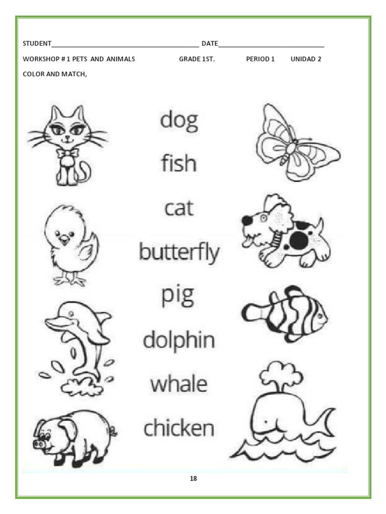Grade 1 Pets and Animals Workshop | PDF