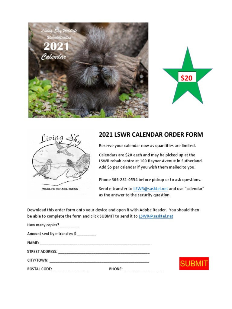 2021 LSWR Calendar Order Fillable Form | PDF