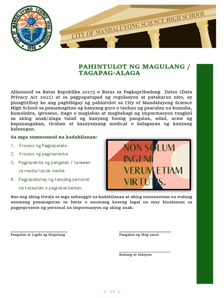 CMSHS Data Privacy Waiver Form Revised | PDF