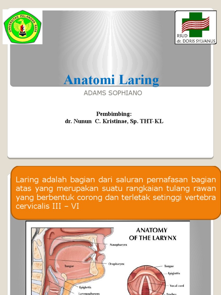 Anatomi dan Fungsi Laring | PDF