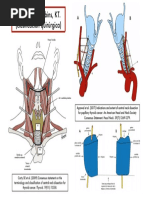 Surgical Anatomy and Operative Technique of The Axillary Lymph Node ...