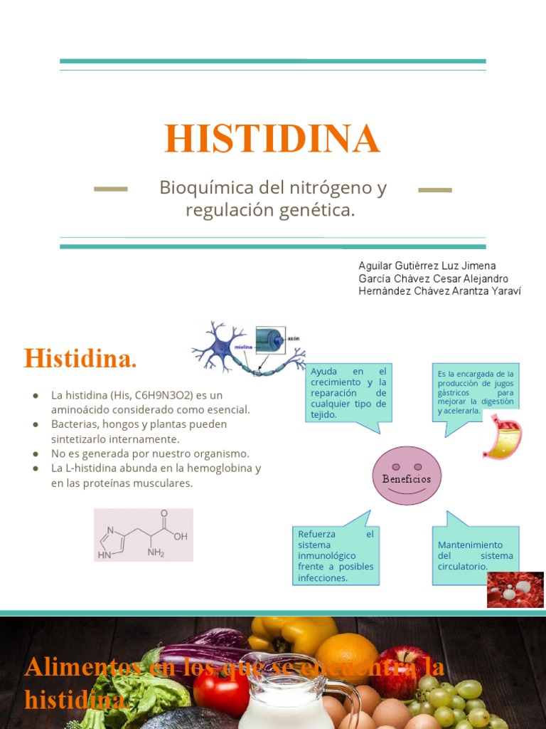 Importancia y fuentes de la histidina | PDF | Biosíntesis | Biología ...
