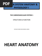 Blood Flow Through The Heart Assignment | PDF