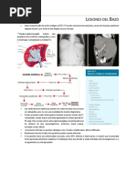 Anillos de Cabot | PDF | Glóbulo rojo | Hematología