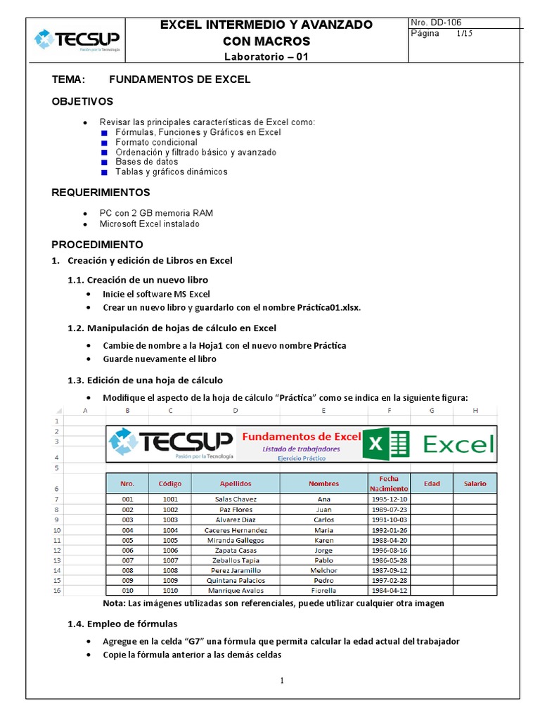 Lab01 - Fundamentos de Excel | PDF | Microsoft Excel | Software de negocios