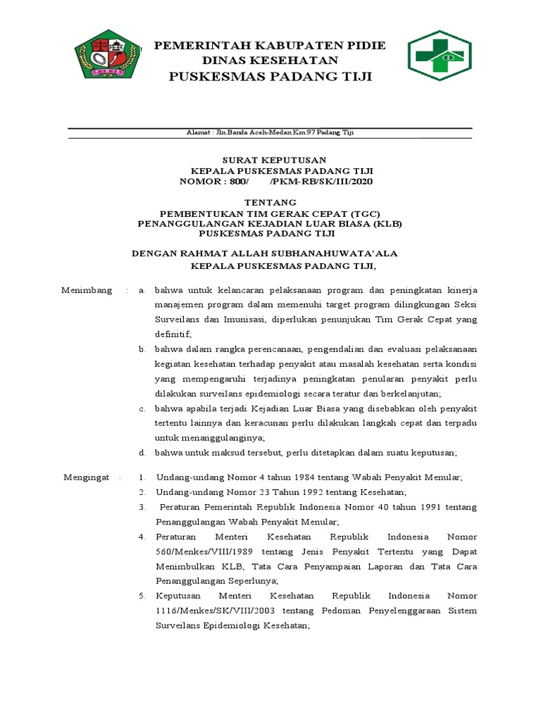 SK Pembentukan Tim Gerak Cepat | PDF