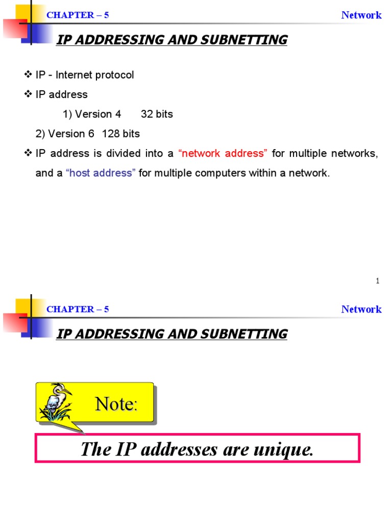 Ip Addressing | PDF | Ip Address | Internet Protocols