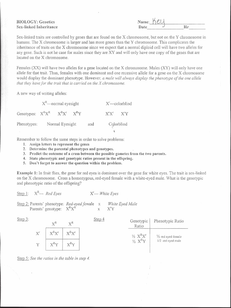 Sex Linked Answer Key | PDF