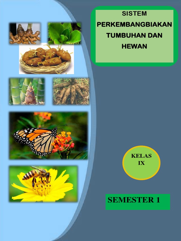 Contoh Handout | PDF