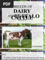 Module I. Beef Cattle Production | PDF | Cattle | Calf