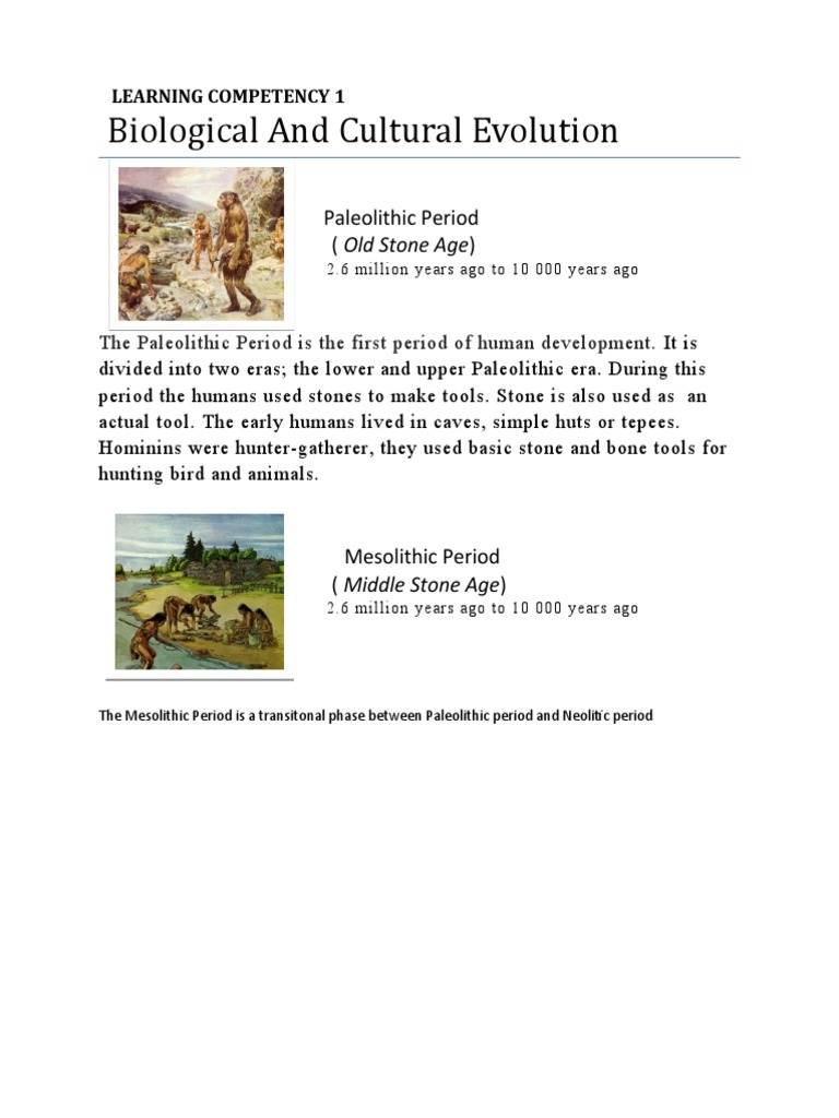 Biological and Cultural Evolution | PDF