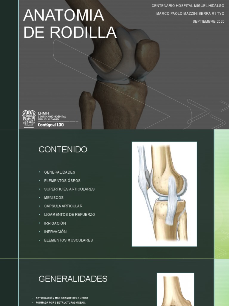 Anatomia de Rodilla | PDF | Rodilla | Articulación