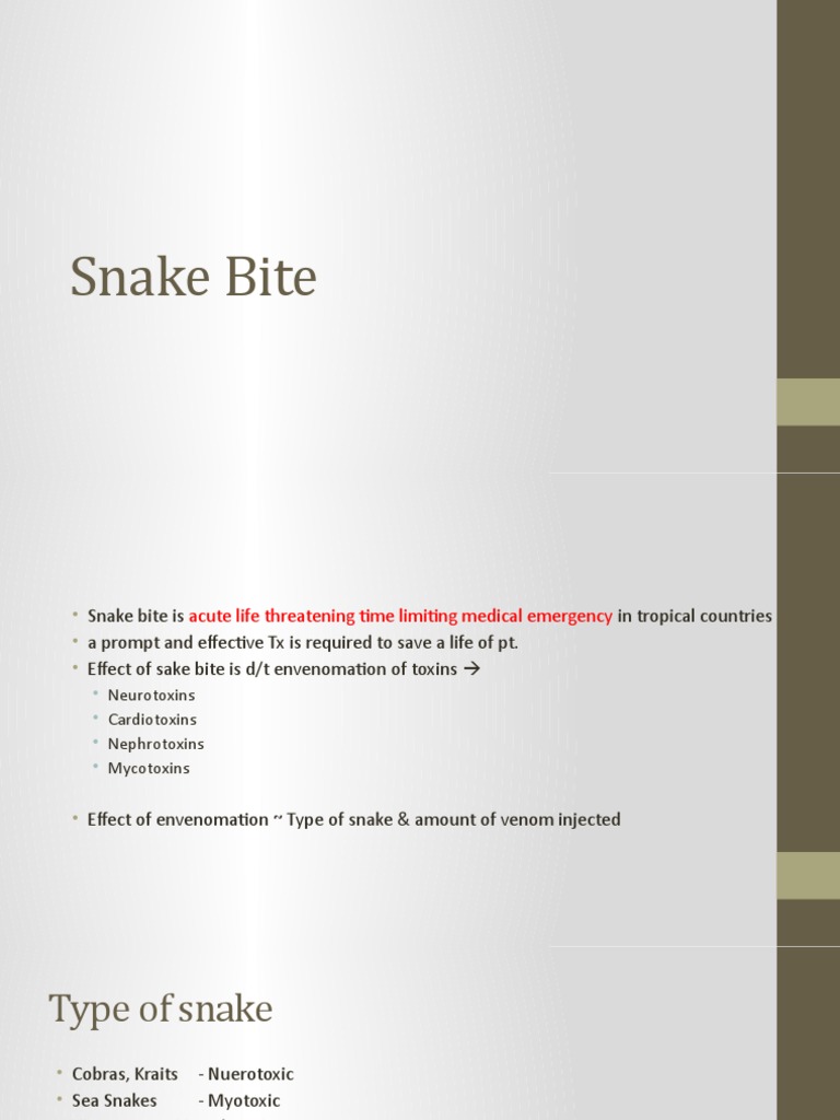 Snake Bite 1 | PDF | First Aid | Snake