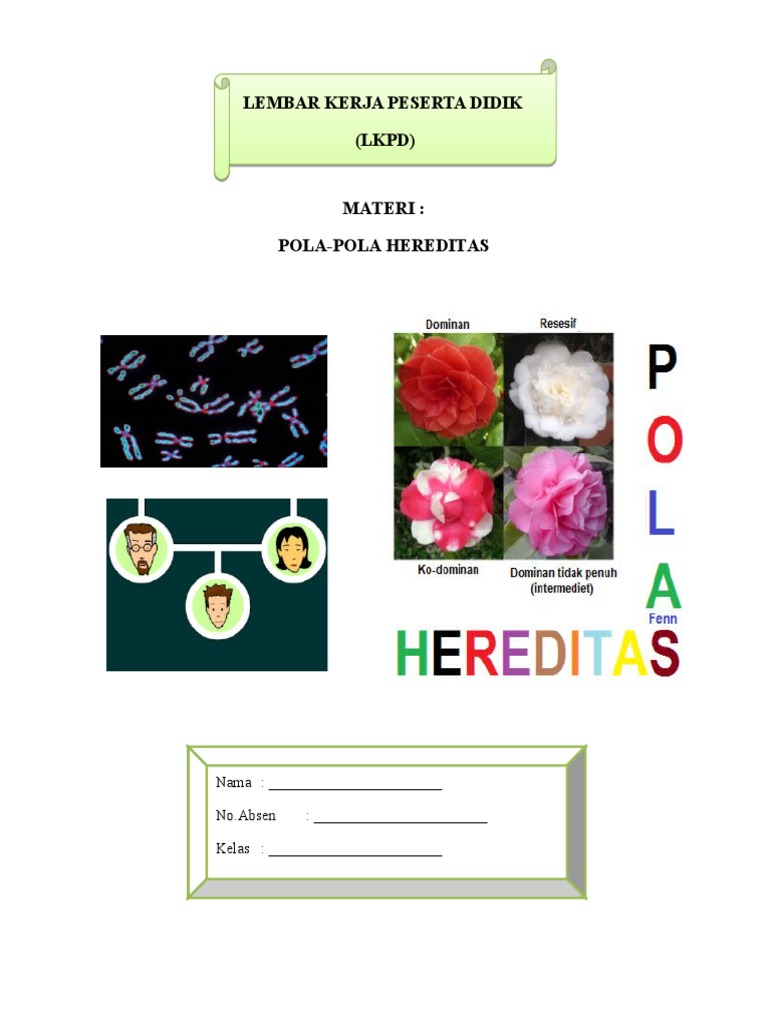 LKPD Pola-Pola Hereditas-1 | PDF | Kajian Bahasa Asing