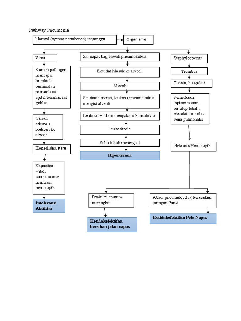 Pathway Pneumonia | PDF