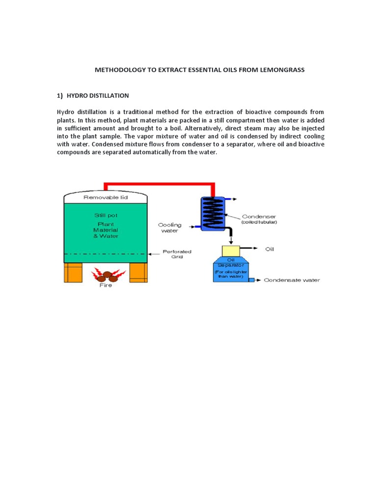Essential Oil Extraction Methods Explained | PDF | Essential Oil ...