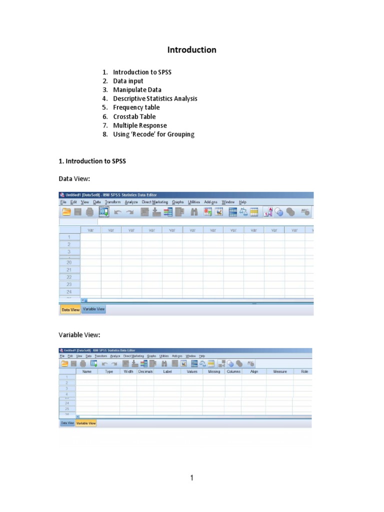 SPSS Guide for Data Analysis | PDF | Spss | Survey Methodology