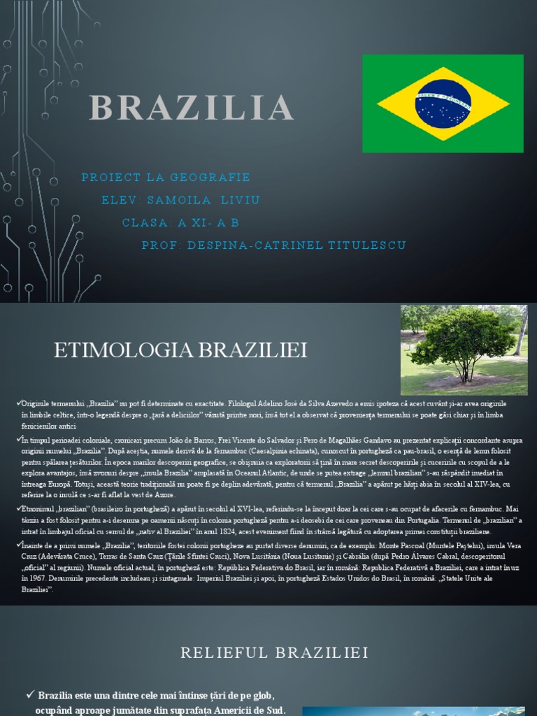 Brazilia | PDF