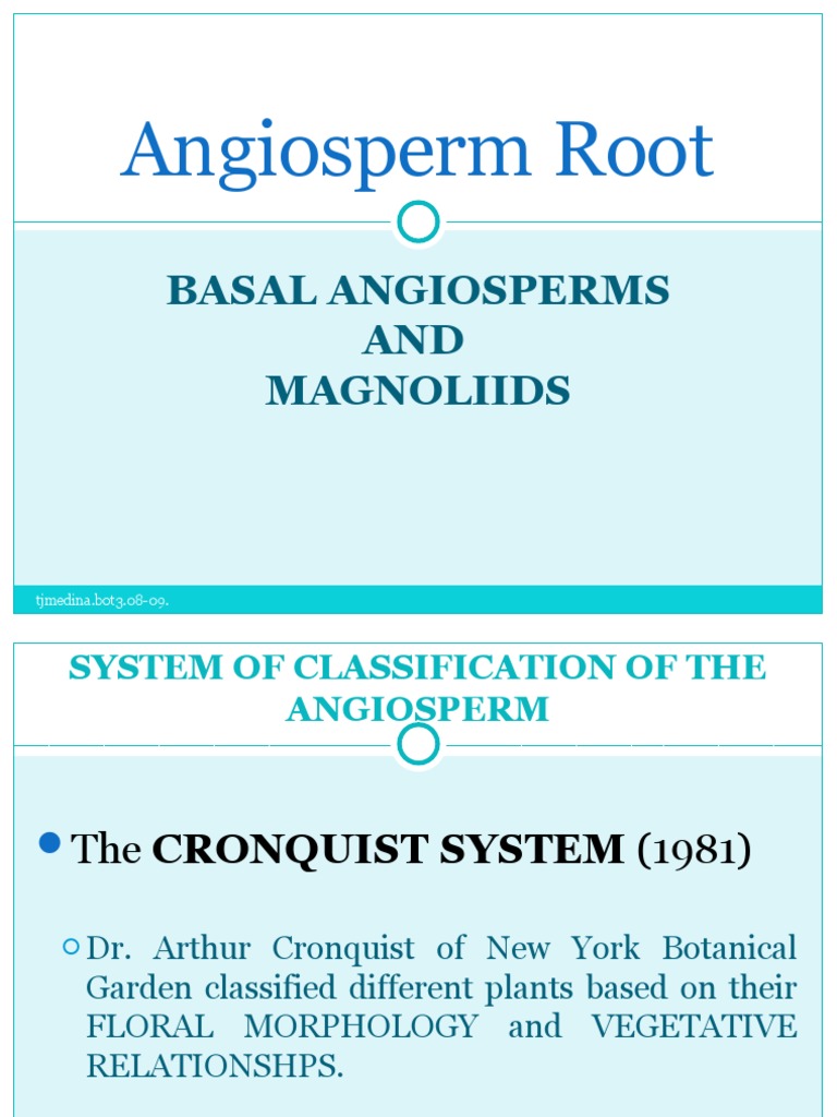 BOT 3: Basal Angiosperms | PDF | Organisms | Botany
